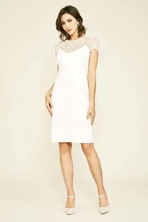 Tadashi Shoji Ferguson Crepe Lace Dress - Ivory