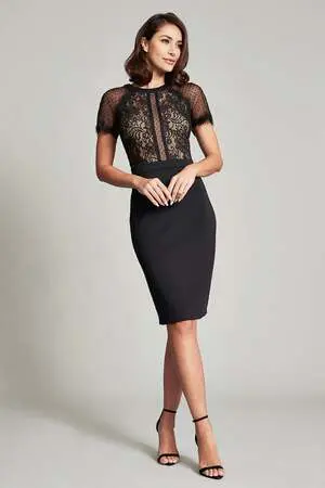 Tadashi Shoji Lace Sheath Dress - Black/nude