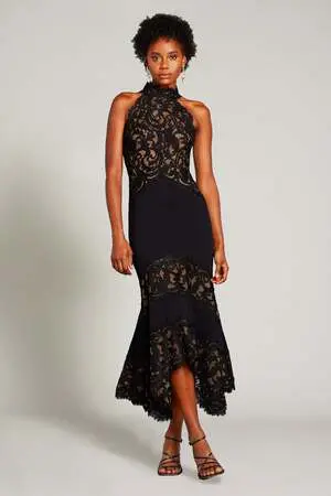 Tadashi Shoji Erva Lace Halter High-low Dress - Black/nude
