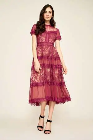 Tadashi Shoji Lace Tea-length Dress With Detachable Lining - Black/nude