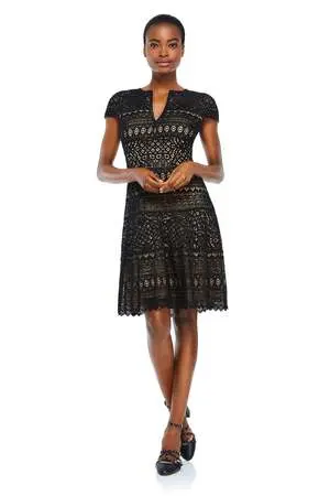 Tadashi Shoji Edna Crochet Lace Dress - Black/nude