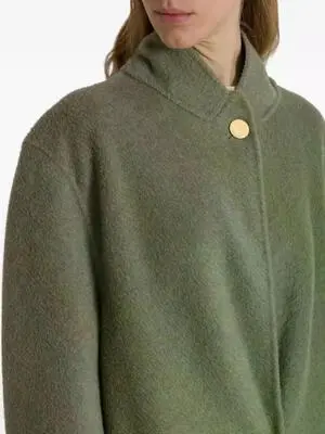 Alberta Ferretti Notched Lapel Button-up Coat