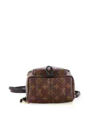 LOUIS VUITTON Palm Springs Mini Backpack - Brown