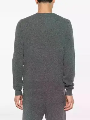 Extreme Cashmere Crew Neck Long Sleeve Sweater