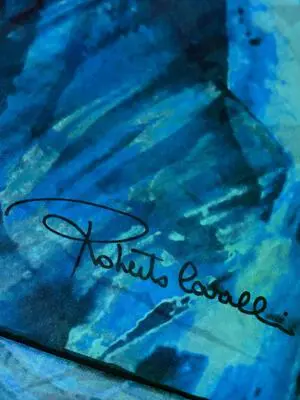 Roberto Cavalli Malachite-print Silk Scarf