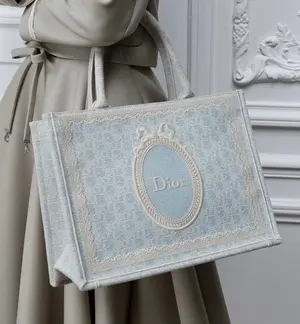 Dior Medium Book Tote With Strap
