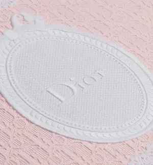 Dior Medium Book Tote With Strap