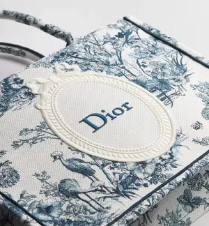 Dior Medium Book Tote With Strap