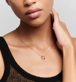 Dior Toile Des Vents Necklace