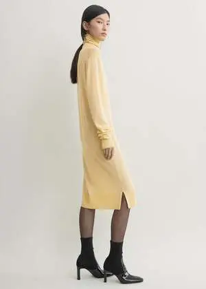 TOTEME Turtleneck Dress Petite