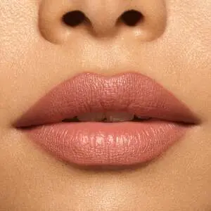 VIEVE Modern Matte Lipstick Brat