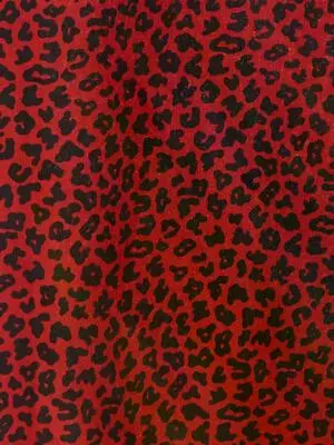 Dior Leopard-print Chiffon Midi Skirt