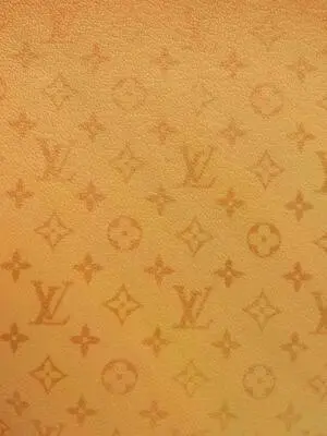LOUIS VUITTON Monogram Fortune Cookie Pouch - Neutrals