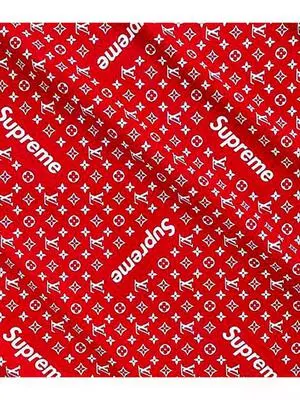 Supreme X Louis Vuitton Monogram Blanket