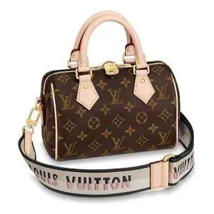 LOUIS VUITTON Louis Vuitton Speedy Bandoulière 20 Black