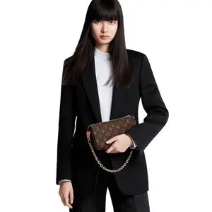 LOUIS VUITTON Monogram Pochette Accessoires