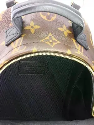LOUIS VUITTON Palm Springs Mini Backpack Monogram Canvas