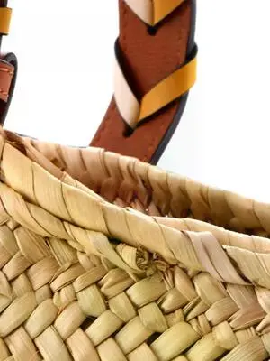 Loewe Braided Handle Basket Raffia Medium Tote Bag