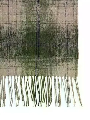 Etro Check Fringed Scarf - Green