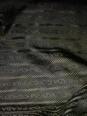 Prada Canvas Bow Cloquet Handle Bag