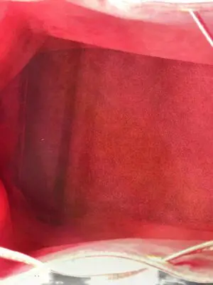 LOUIS VUITTON Epi Leather Noe Bucket Bag