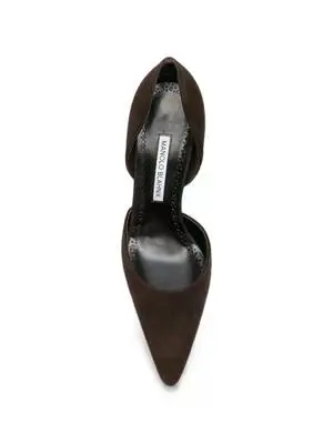 Manolo Blahnik Taylernu Pointed-toe Pumps