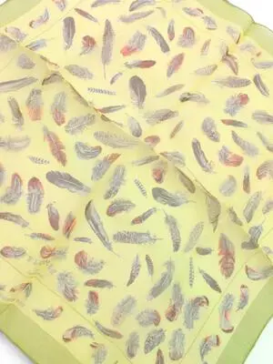 Hermès 2010s Plumes Chiffon Scarf - Neutrals