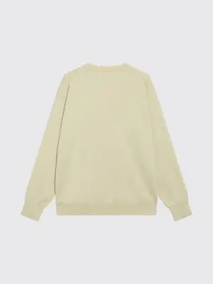 Auralee Sweater