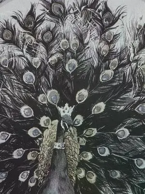 Dolce & Gabbana Peacock-print T-shirt