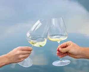 RIEDEL Winewings Chardonnay Wine Glass
