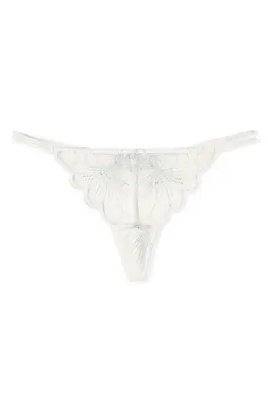 Embroidered Tulle Briefs