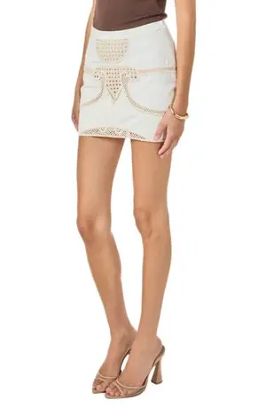 Endless Rose Crochet Miniskirt