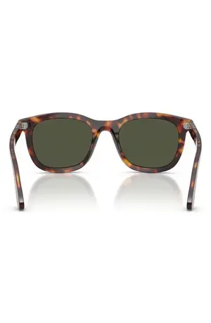 Persol Phantos Sunglasses - Havana/green