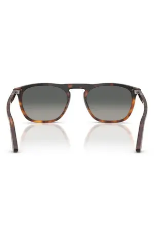 Persol Gae 55mm Square Sunglasses