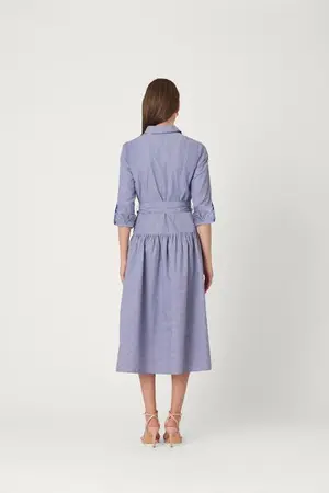 Shoshanna Embroidered Pinstripe Caldwell Dress
