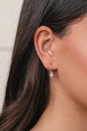ELECTRIC PICKS Mini Aston Earrings