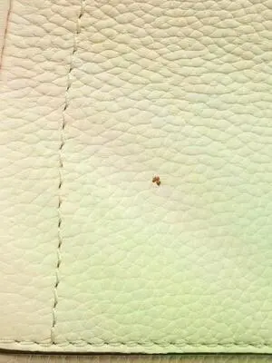 Tory Burch Mcgraw Dragonfly Drawstring Tote Bag