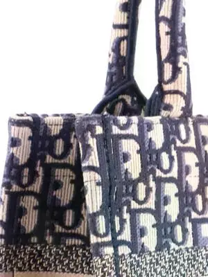 Dior Book Oblique Canvas Small Tote Bag