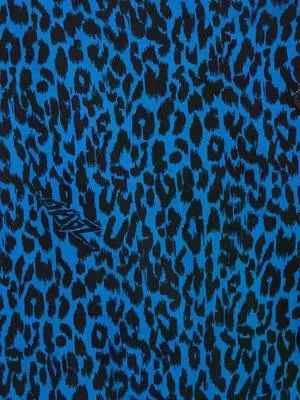 Zadig&Voltaire Leopard-print Maxi Skirt