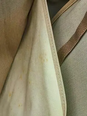 LOUIS VUITTON Monogram Sirius 55 Luggage - Brown