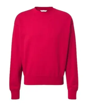 Auralee Sweatshirts Hoodies For Men