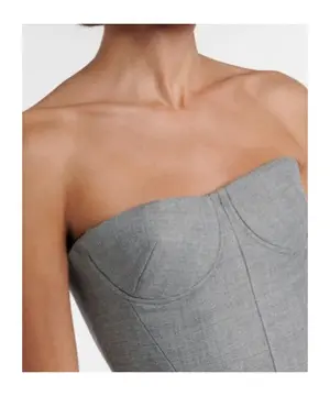 Alex Perry Draped Bustier Dress