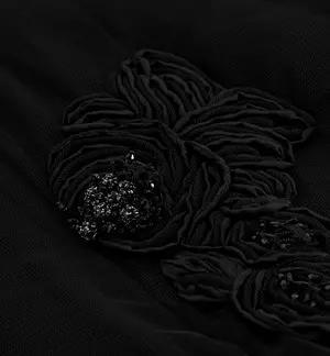 Dior Embroidered Long Dress