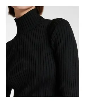 Balenciaga Long Turtleneck Dress