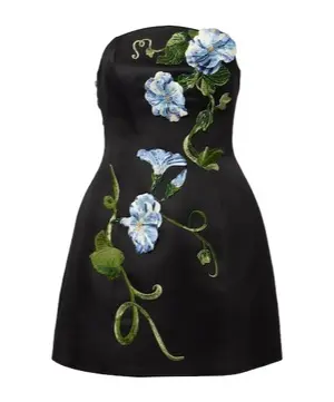 LEO Zaria Floral-appliqué Bustier Dress - Black