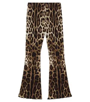 Dolce & Gabbana Leopard-print Ribbed-knit Cotton Flared Pants