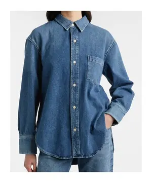 Citizens Of Humanity Carter Denim Shirt