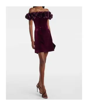 Rebecca Vallance Velvet Floral Appliqué Off-the-shoulder Mini Dress