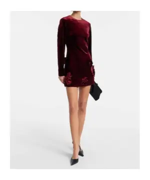 LEO Aliza Floral Appliqué Velvet Mini Dress