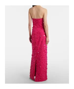 Simkhai Serafina Embellished Bustier Gown